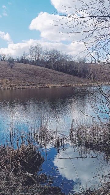 В гостях и рыбки и природы😌