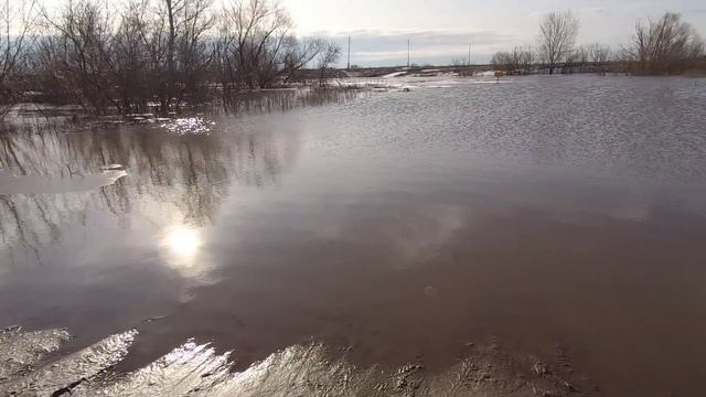 Дневник погоды. Весна 2025. 16-23 марта