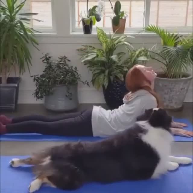 У животных нет души?... или к чему приводит мясоедение