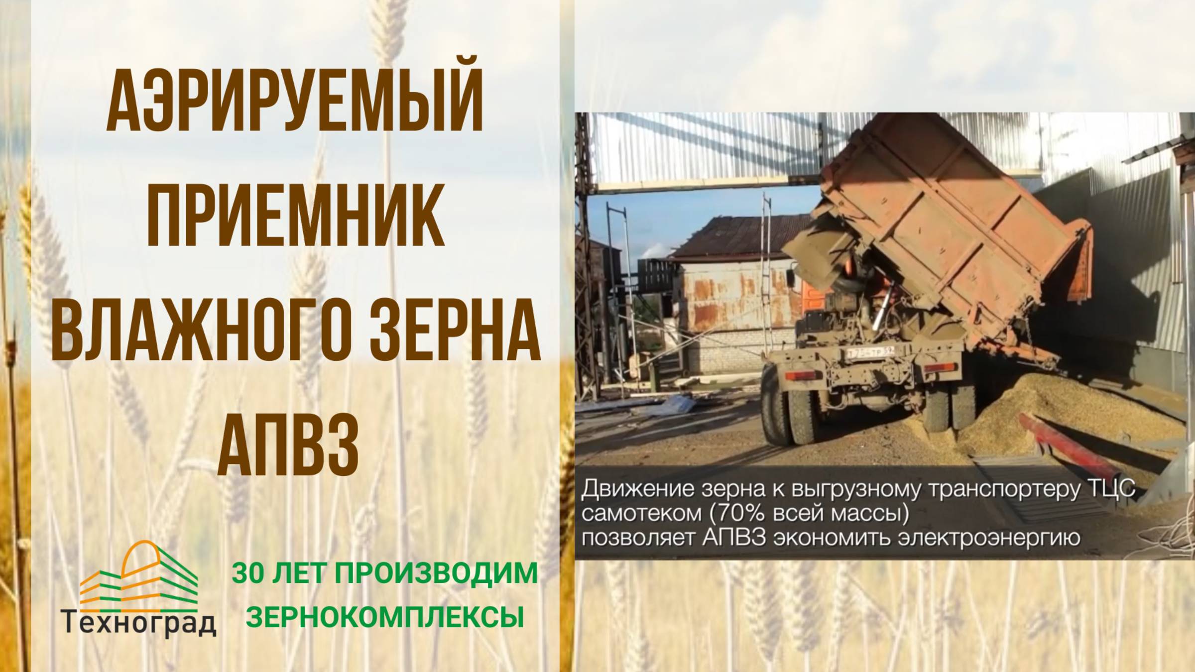Аэрируемый приемник влажного зерна АПВЗ. Зерно уходит самотеком.