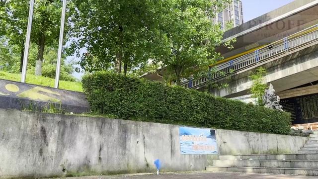 Синяя дымная мина