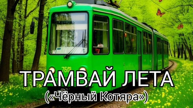 Трамвай лета («Чёрный Котяра»)