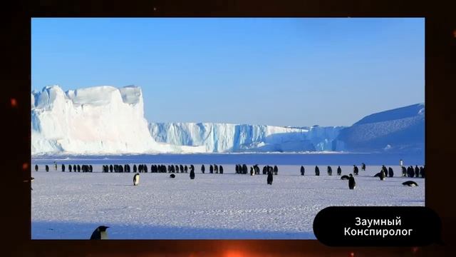 Мы под куполом/ Не гипотезы, только фаткы!