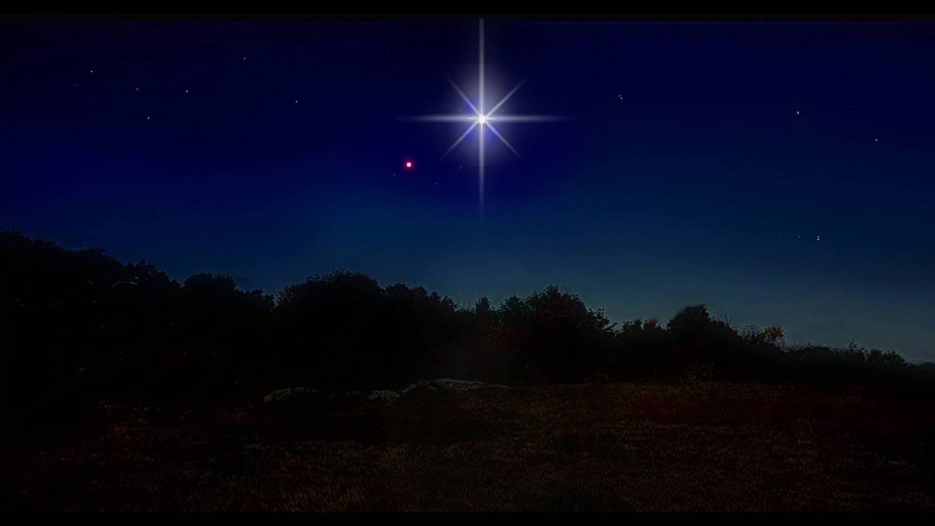 ЛЮБЛЮ ТЕБЯ.