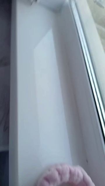 ИГРУШЕЧНЫЙ КОРОЛЬ ПРИДИ