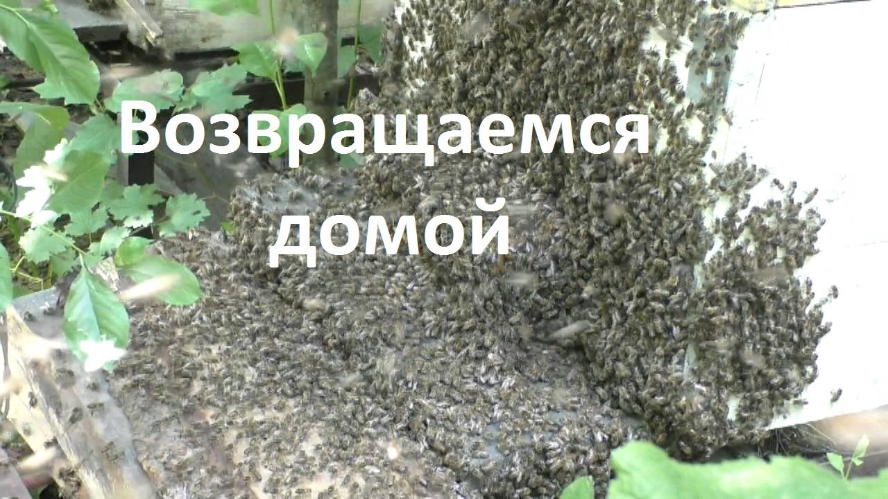 Сколько не летай, а домой вернуться придется