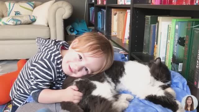 Невинные Малыши и Любопытные Коты - Babys X Cat