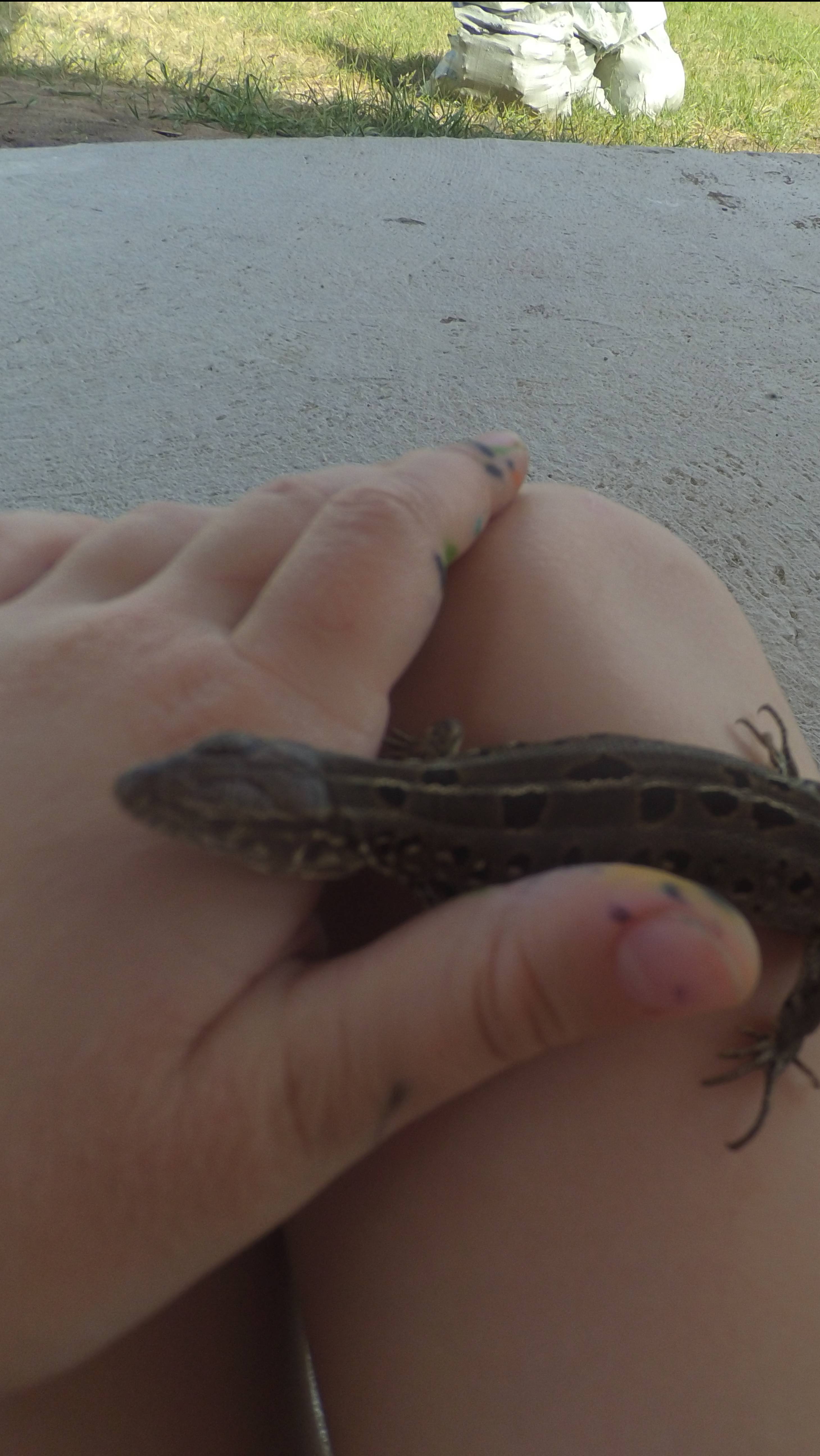 мои любимые таба сквиши :), я его выложила но то видео я удалила.