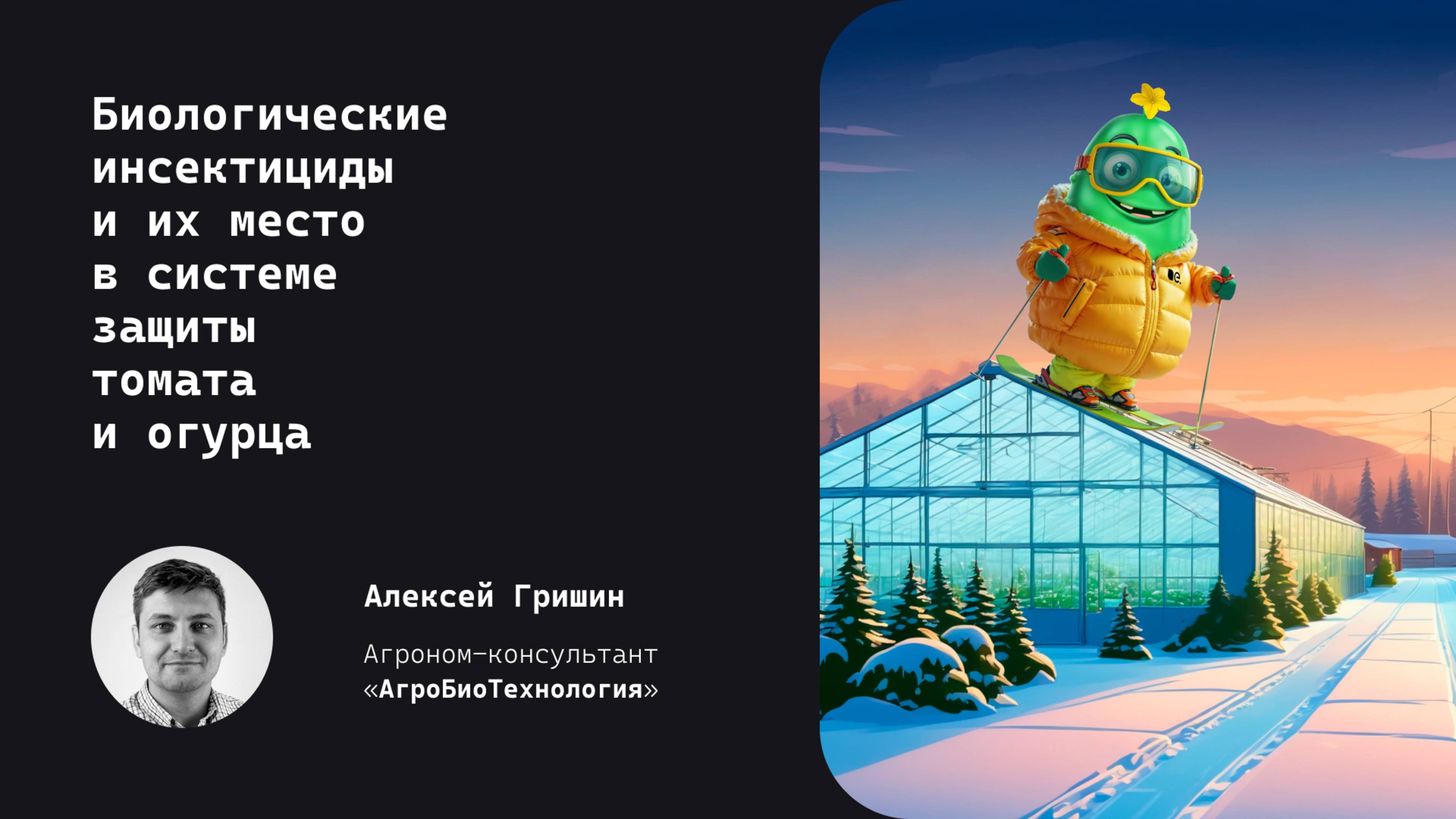 ⛷️ Биологические инсектициды в системе защиты гибридов светокультур томата, огурца в теплицах России