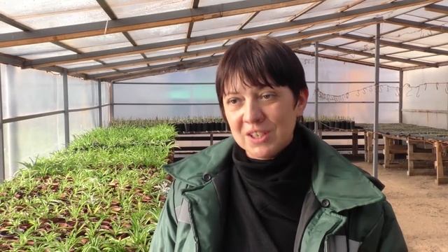 Хорошие новости: программа телеканала ″СТС-Астрахань,18.12.2018