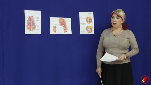 ЗВУКООБРАЗОВАНИЕ. ЧАСТЬ1. ЗНАКОМСТВО | ГОЛОСОВОЙ АППАРАТ | ВОКАЛ-БЭНД ПРЕМЬЕРА. Долотина И.П.