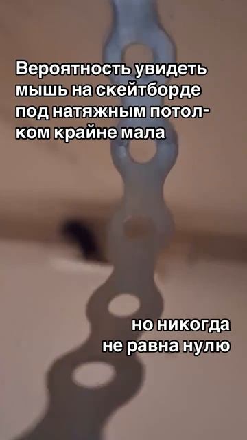 Вероятность увидеть мышь на скейтборде под натяжным потолком крайне мала, но никогда не равна нулю