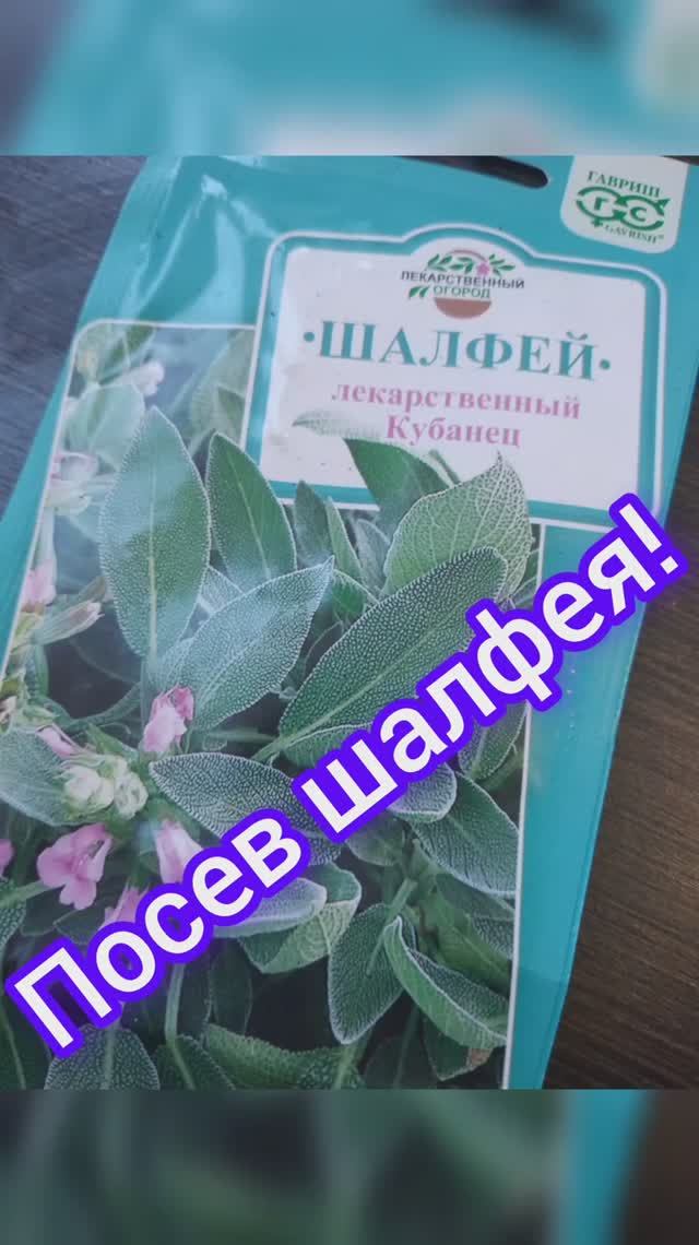 Шалфей лекарственный "Кубанец"!  Больше не буду покупать!