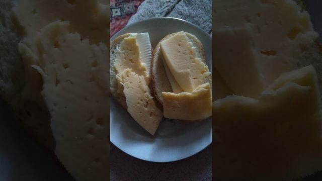 На завтрак сыррр