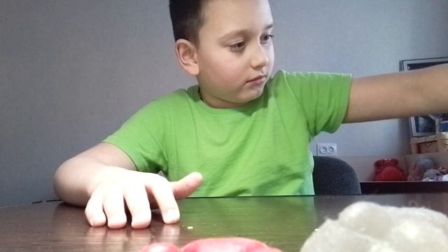 обзор тапа лапок