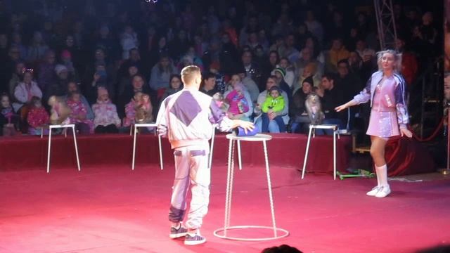 Цирк счастья - Спортивные обезьянки