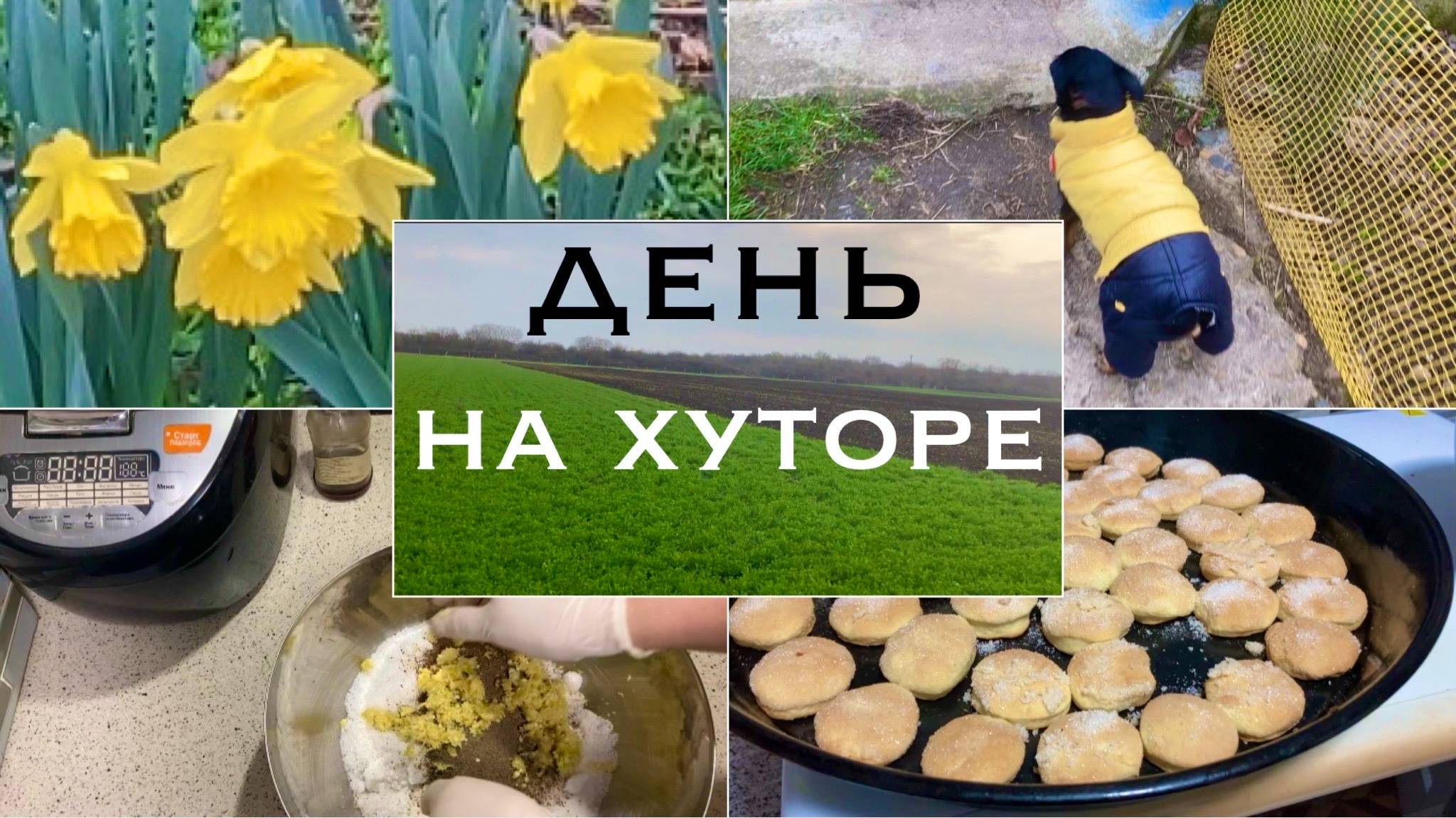 Жизнь в Адыгее/Строим загон/У нас всегда позже/Адыгейская соль своими руками/21.03.2025/