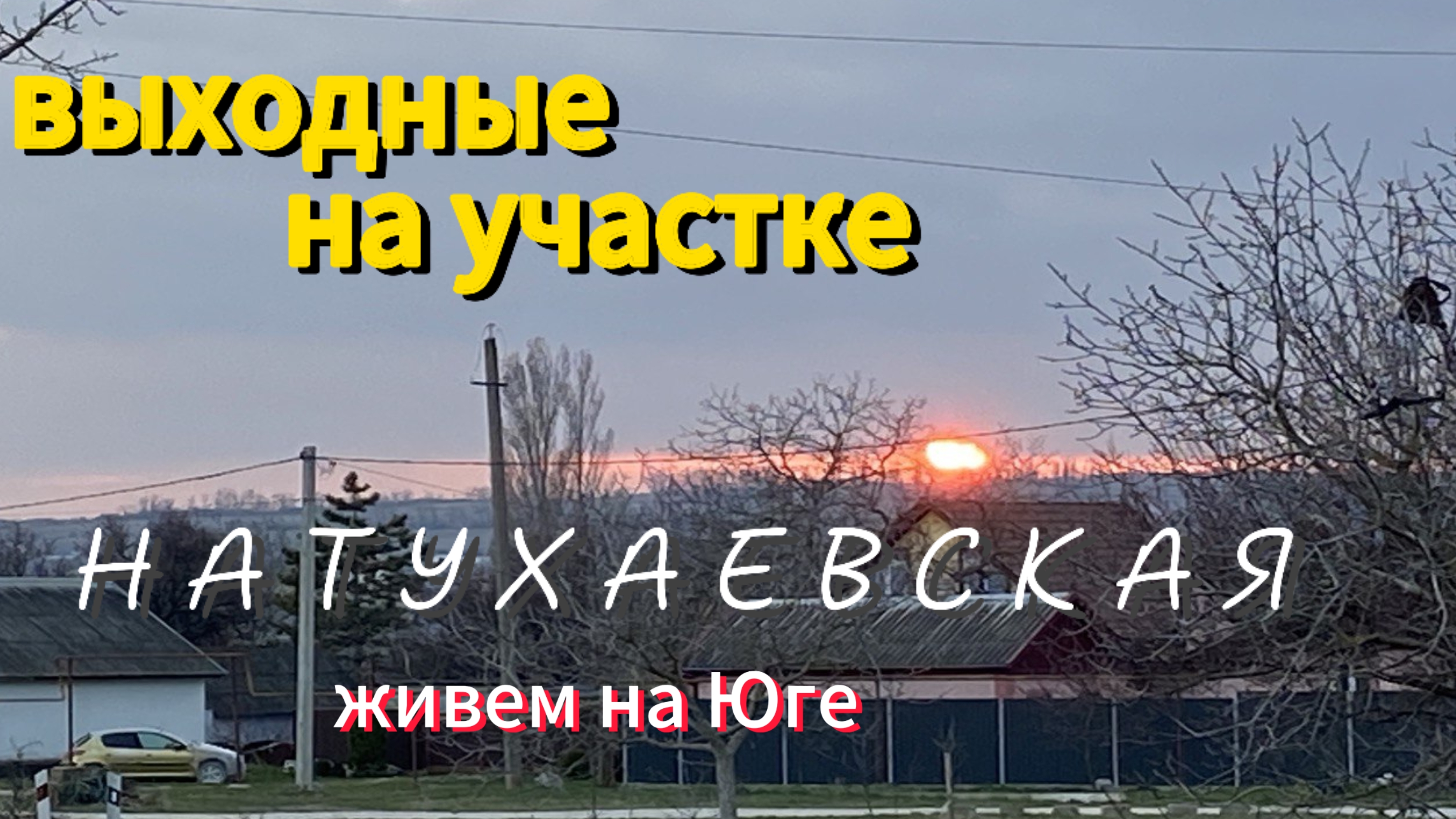 САЖАЕМ деревья.Делаем ТЕПЛИЦУ.Цветёт  АБРИКОС .Наводим порядок на УЧАСТКЕ.Станица НАТУХАЕВСКАЯ
