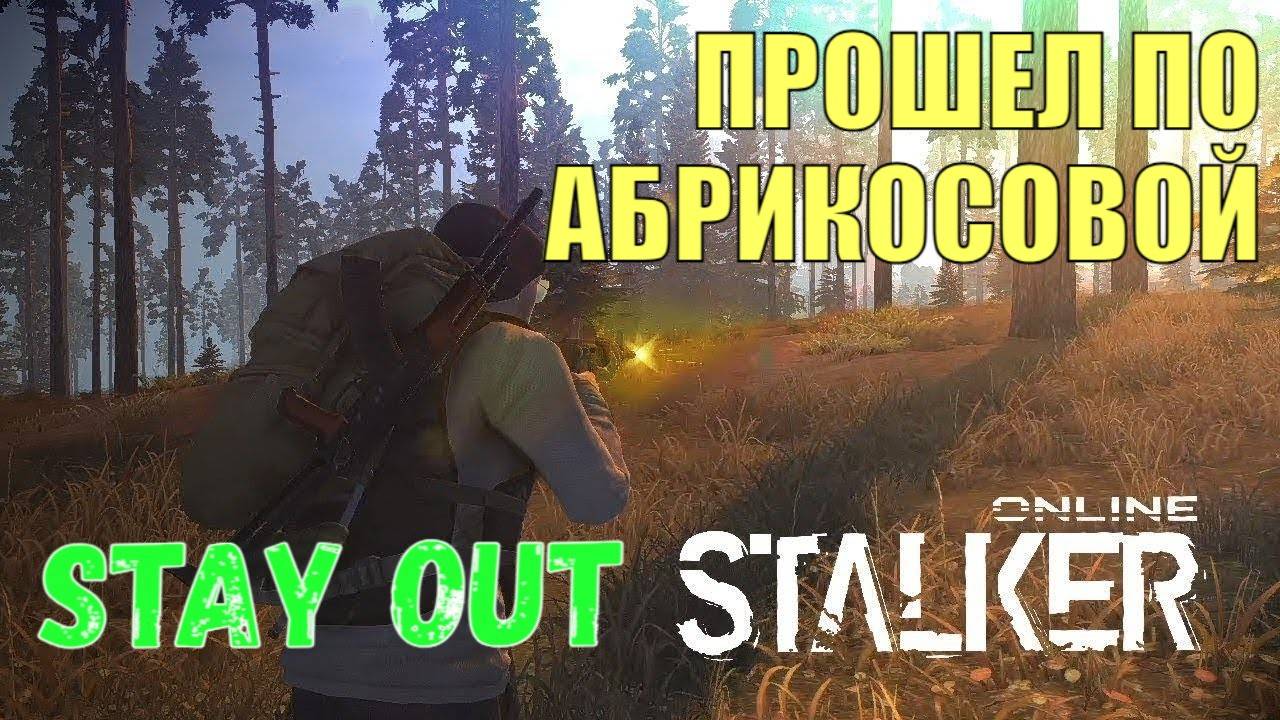 Stalker Online, Квест "Прошел По Абрикосовой", Stay Out