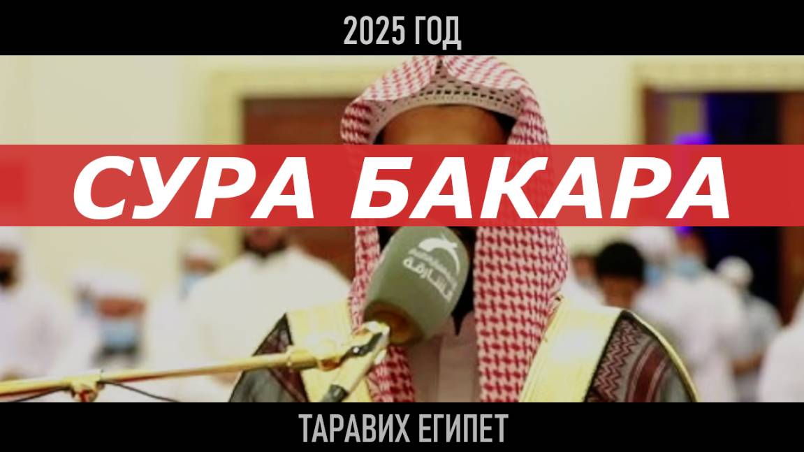 СУРА ФАТИХА И СУРА БАКАРА ТАРАВИХ В ЕГИПТЕ