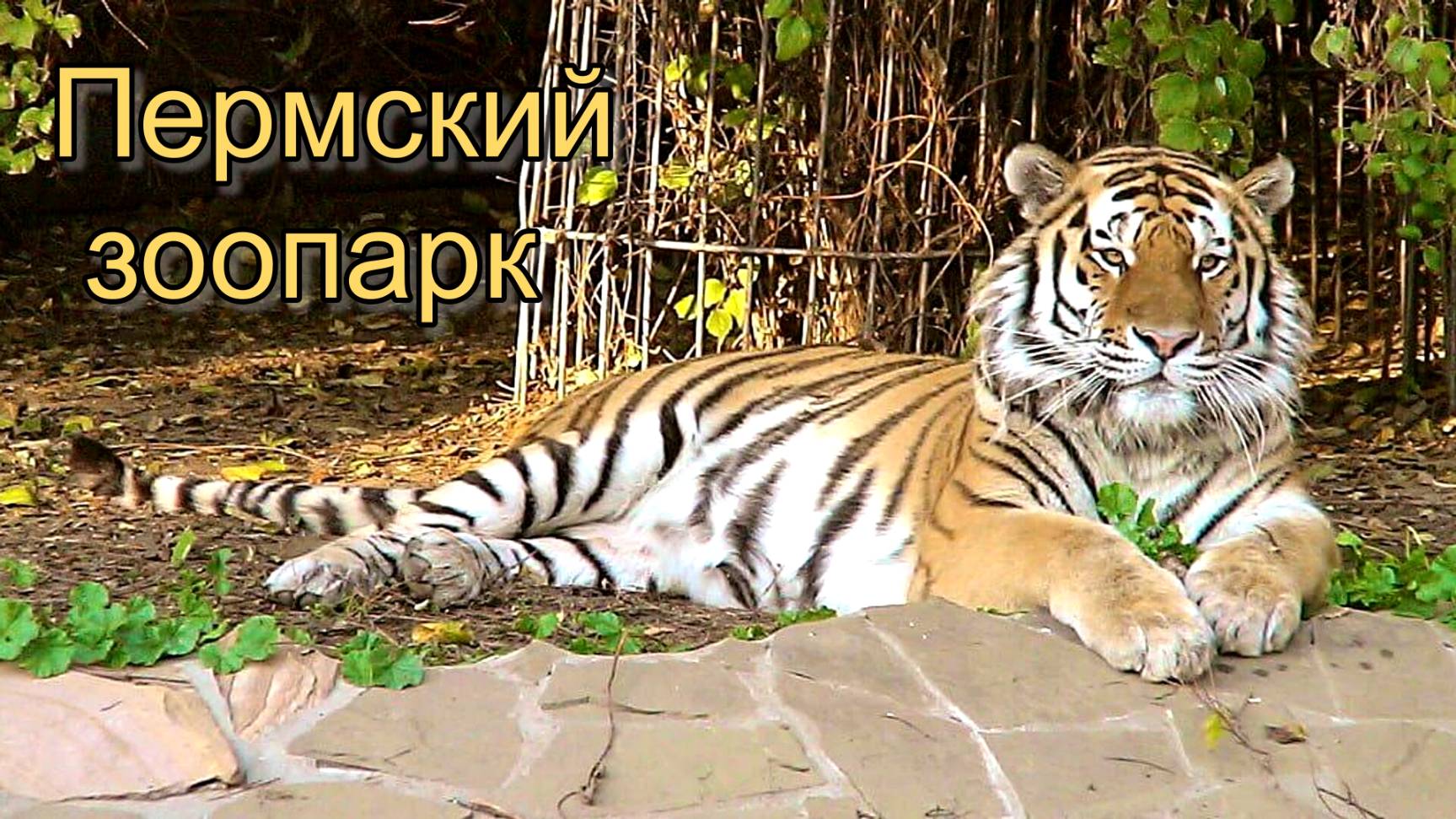 Пермский зоопарк.