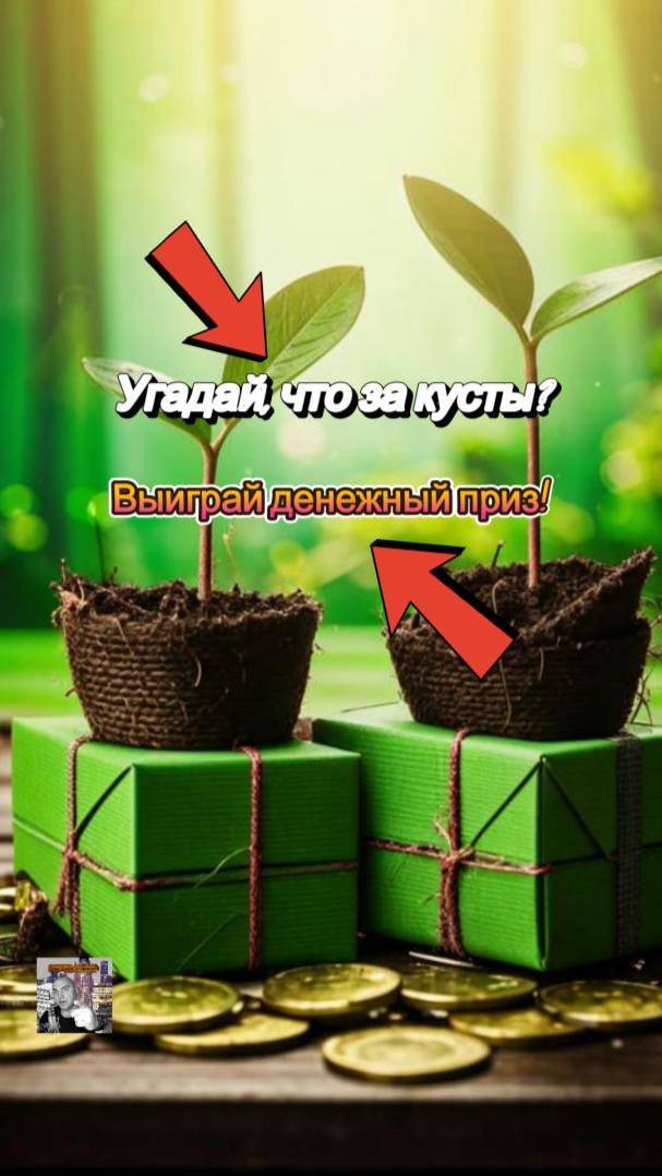 Угадай, что за кусты! Участвуй в конкурсе и выиграй денежный приз.
