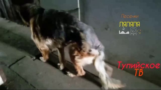 Моя семья. КЛИП 2024