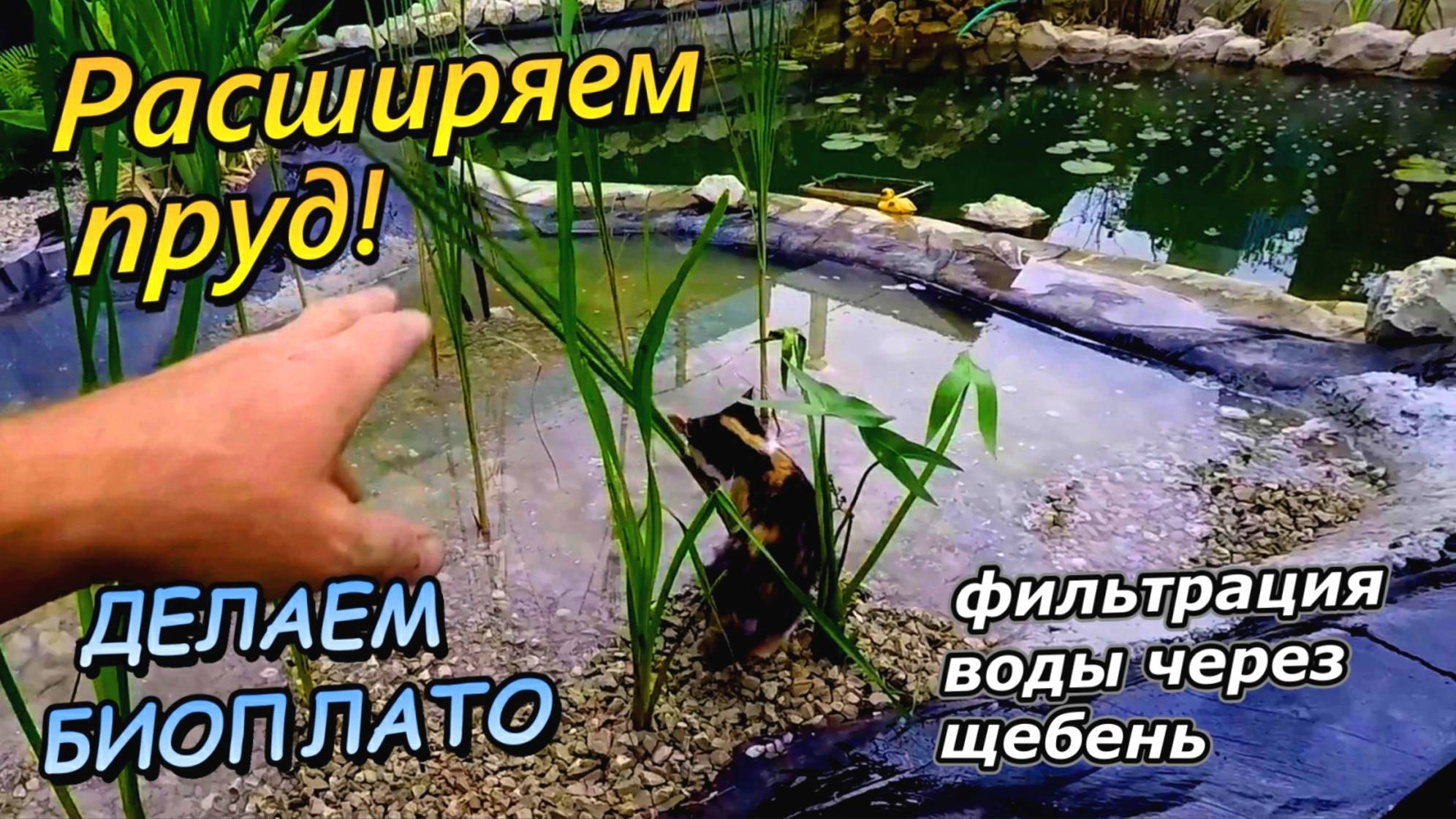 Расширяем пруд / Мелководная Зона биоплато / Фильтрация воды через щебень / Мидии в пруд (июль 2020)