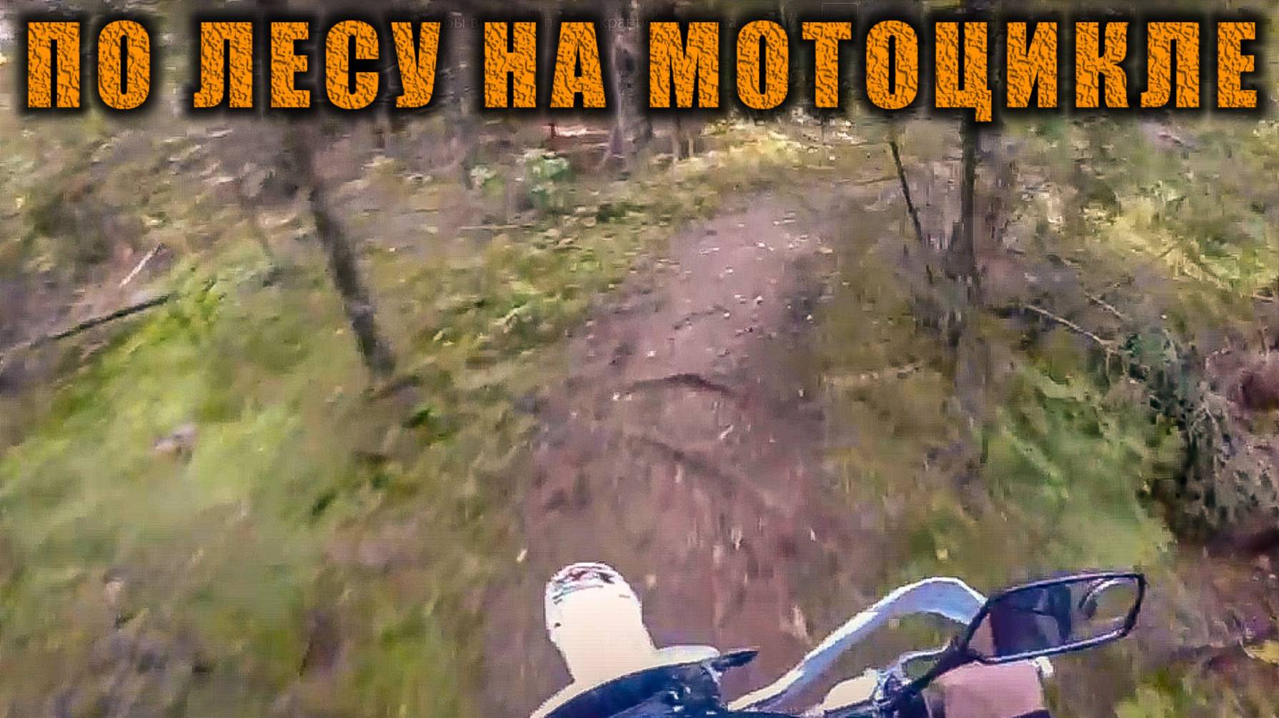 Покатушки на кроссовом мотоцикле по лесу