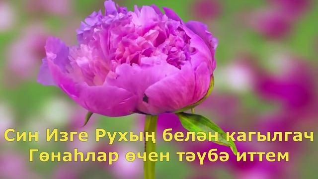 114 Син, тере Алла турында