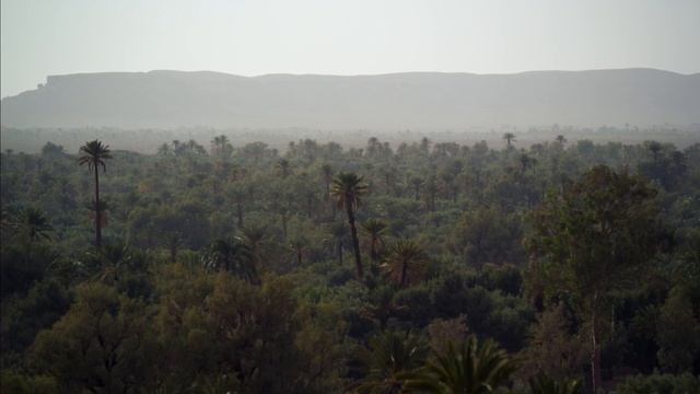 Яхъя 10 бүлек