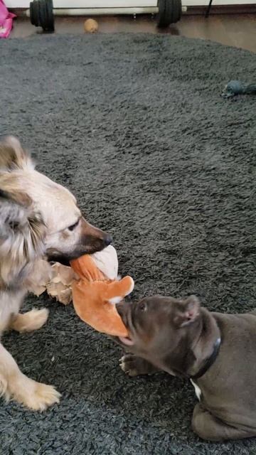 You WIN!! (смертельная схватка!)