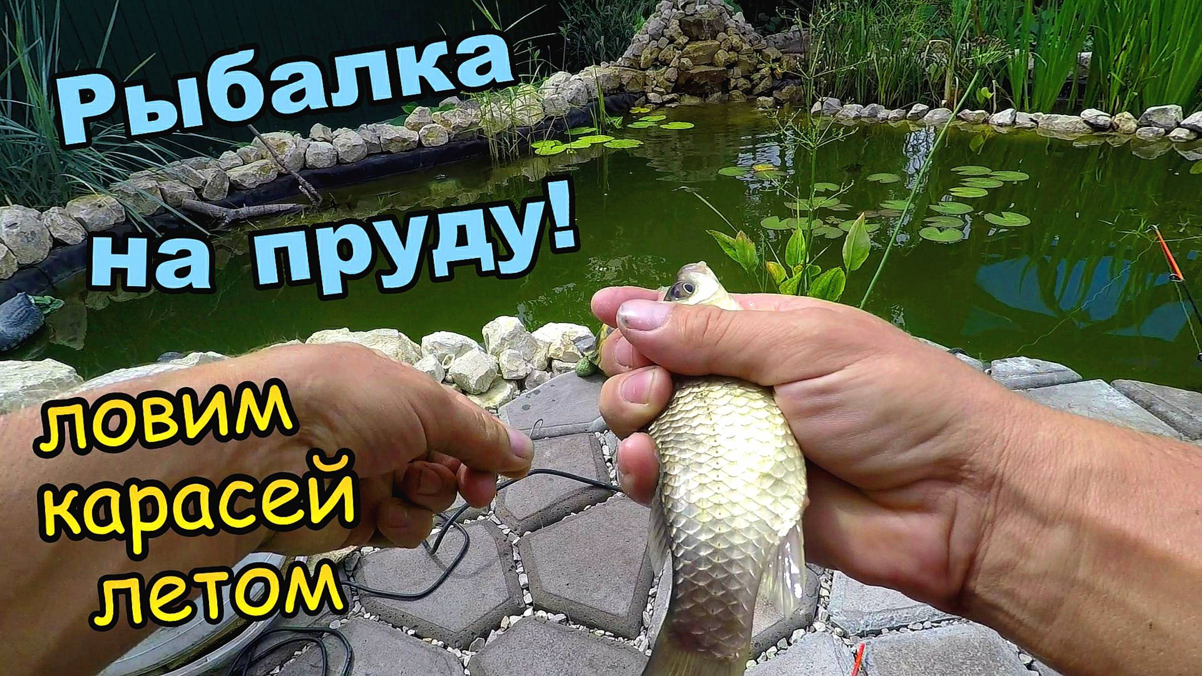 Рыбалка на пруду! \ Ловим карасей на удочку \ На манку и перловку летом (июль 2019)