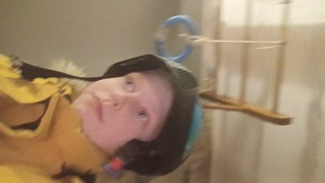 video_20250315_192954