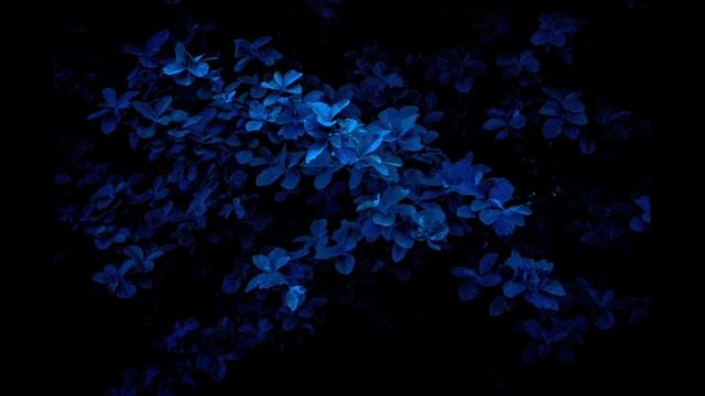 ✨ Relaxing Music. Sleeping Music. Bedtime Music. Good For Kids ✨