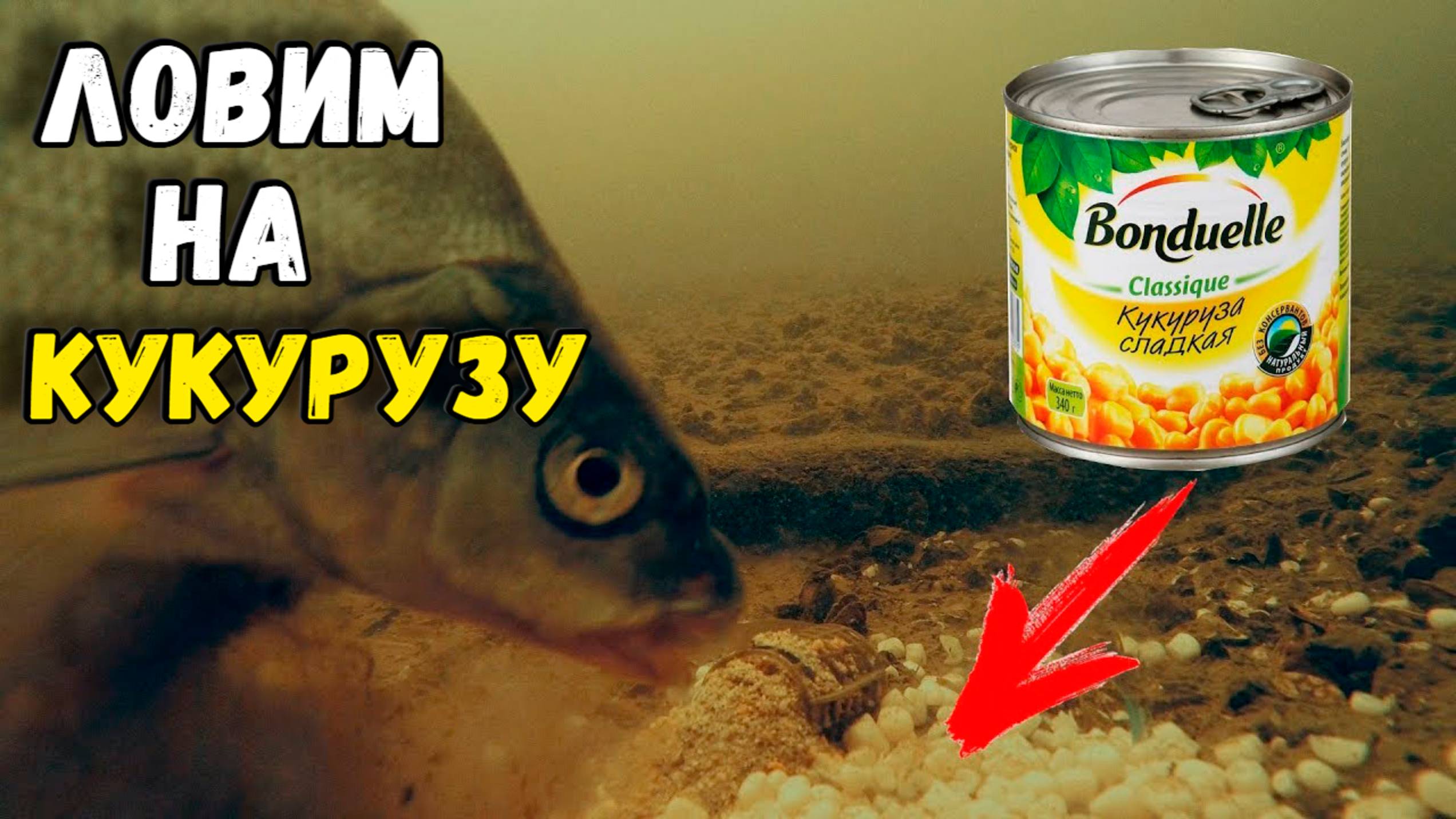 Ловля рыбы на кукурузу