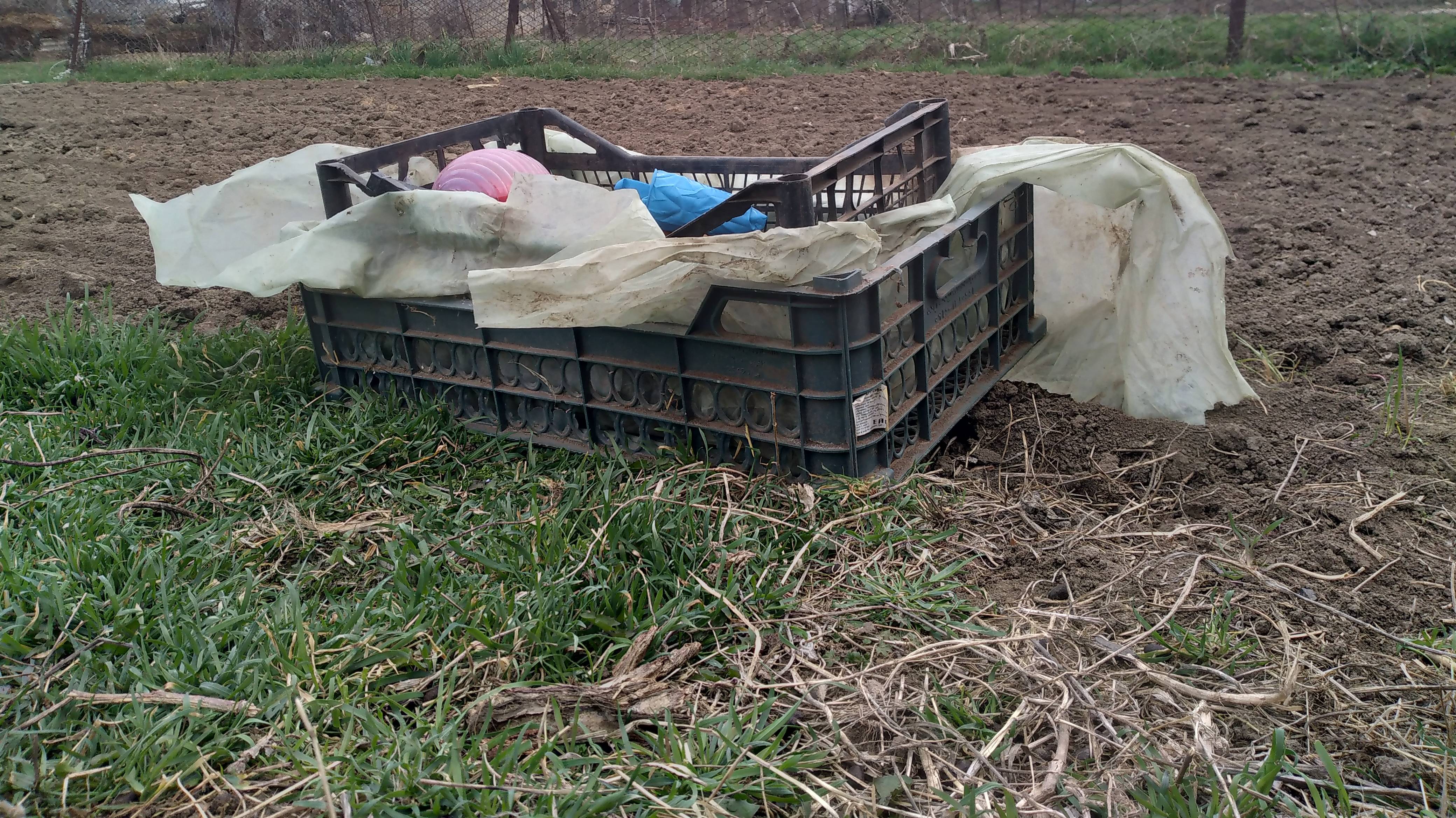 Пришло тепло садим картошку