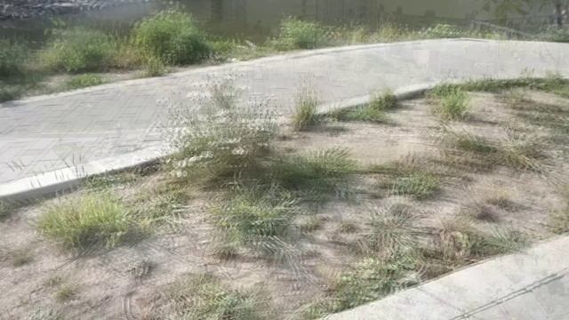 Озеро Никифорова.