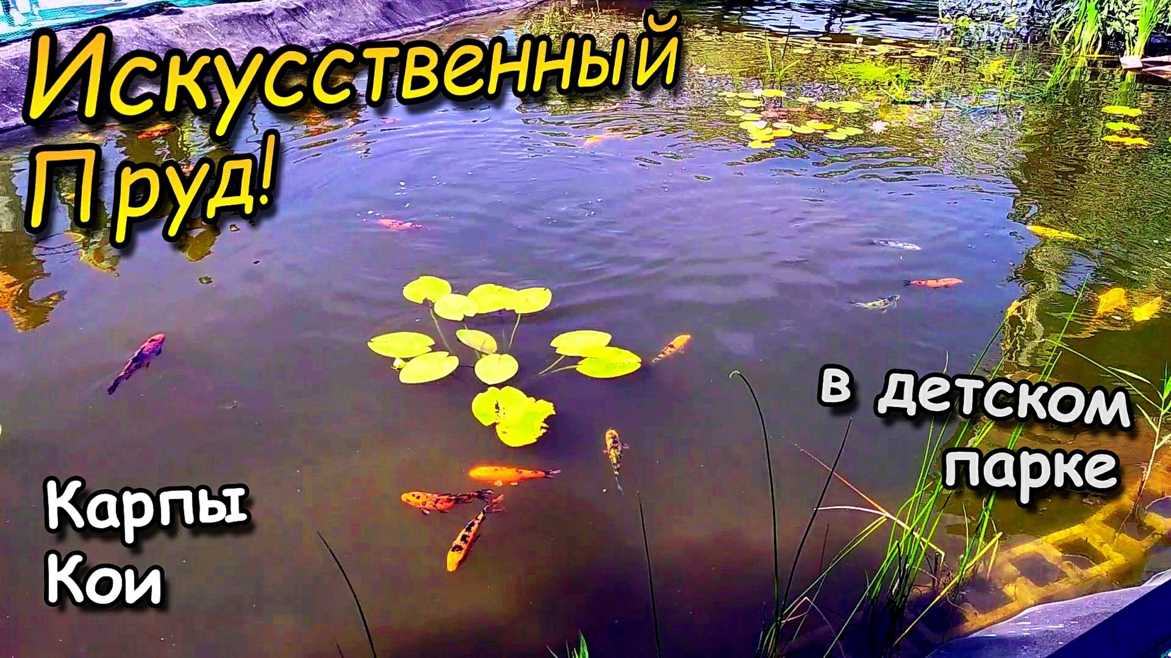 Открытие искусственного пруда с карпами Кои \ В детском парке г Кинель (27 июня 2020)