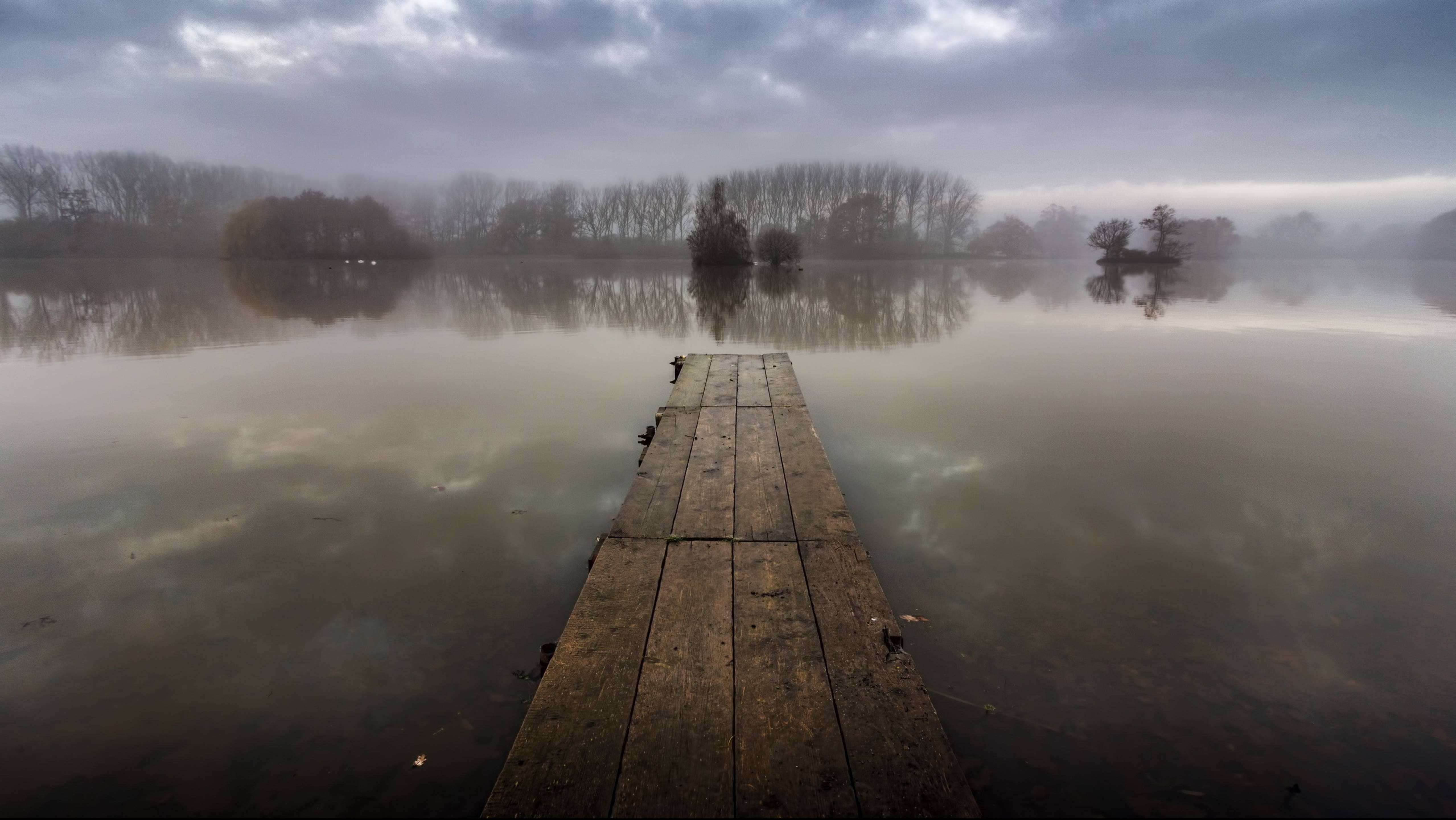 Мост через Озеро за 5 Часов: Моë Приключение в Sons of the Forest!