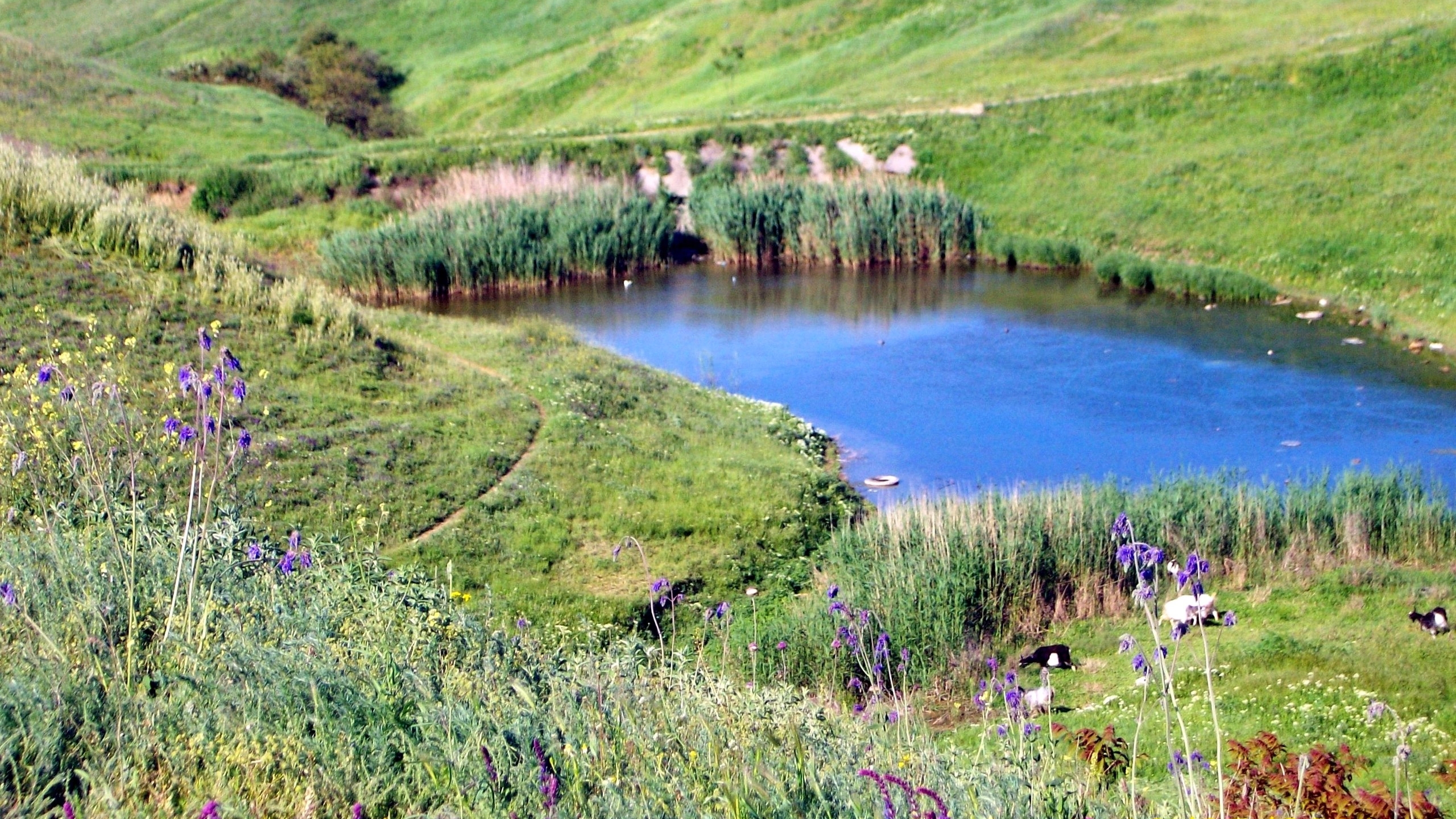 МОРЕ, МЕНЯ ТЫ СЛЫШИШЬ