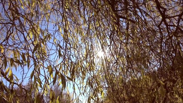 Спасибо сказать