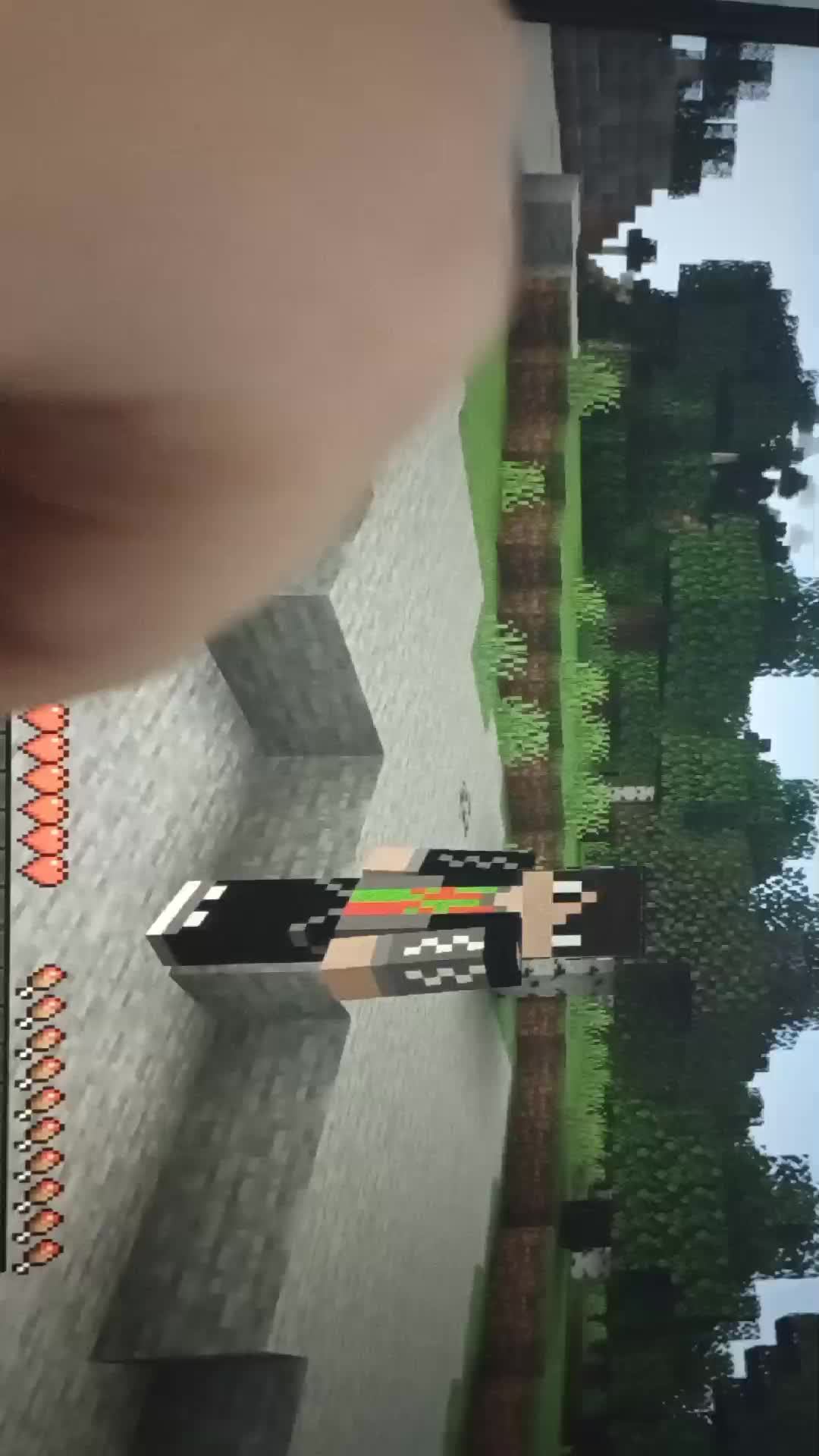 версии майна