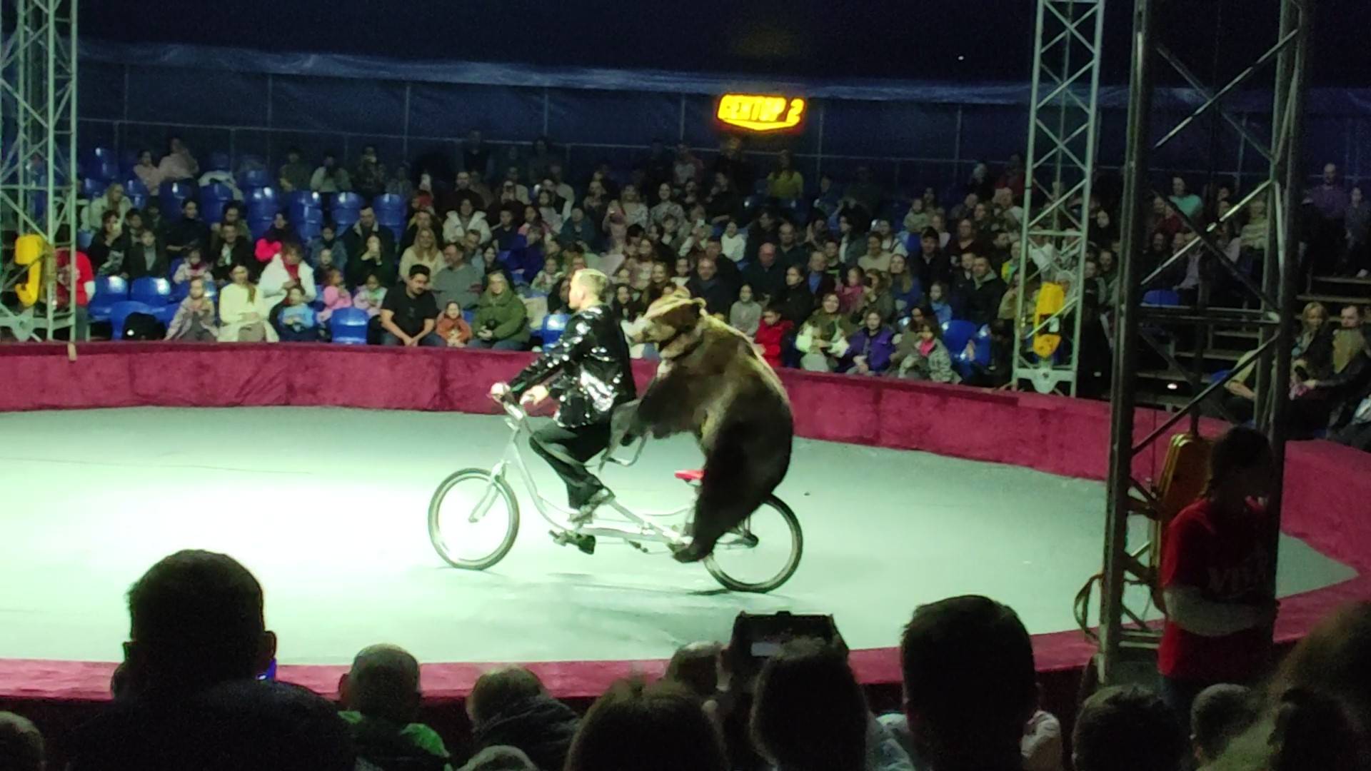 Челябинск. Выступление цирка «Виват» около Торгового центра. 23.03.2025г.