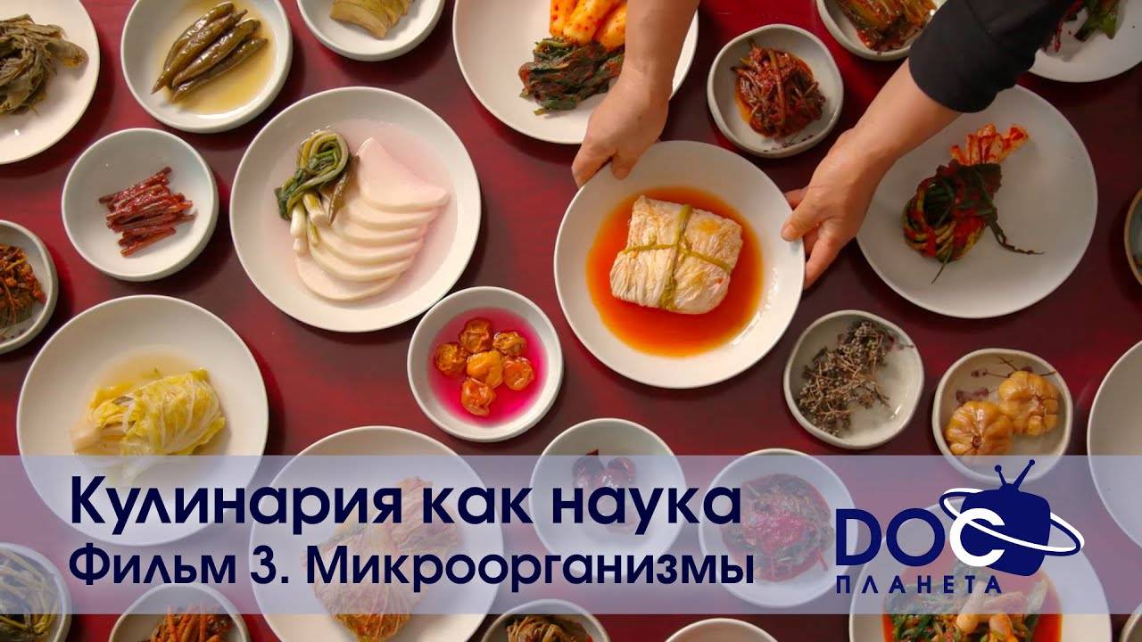 Кулинария как наука - Фильм 3. Микроорганизмы - Документальный фильм