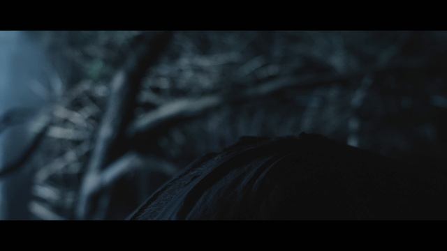 POWERWOLF - 1589 (Official Video) | Napalm Records