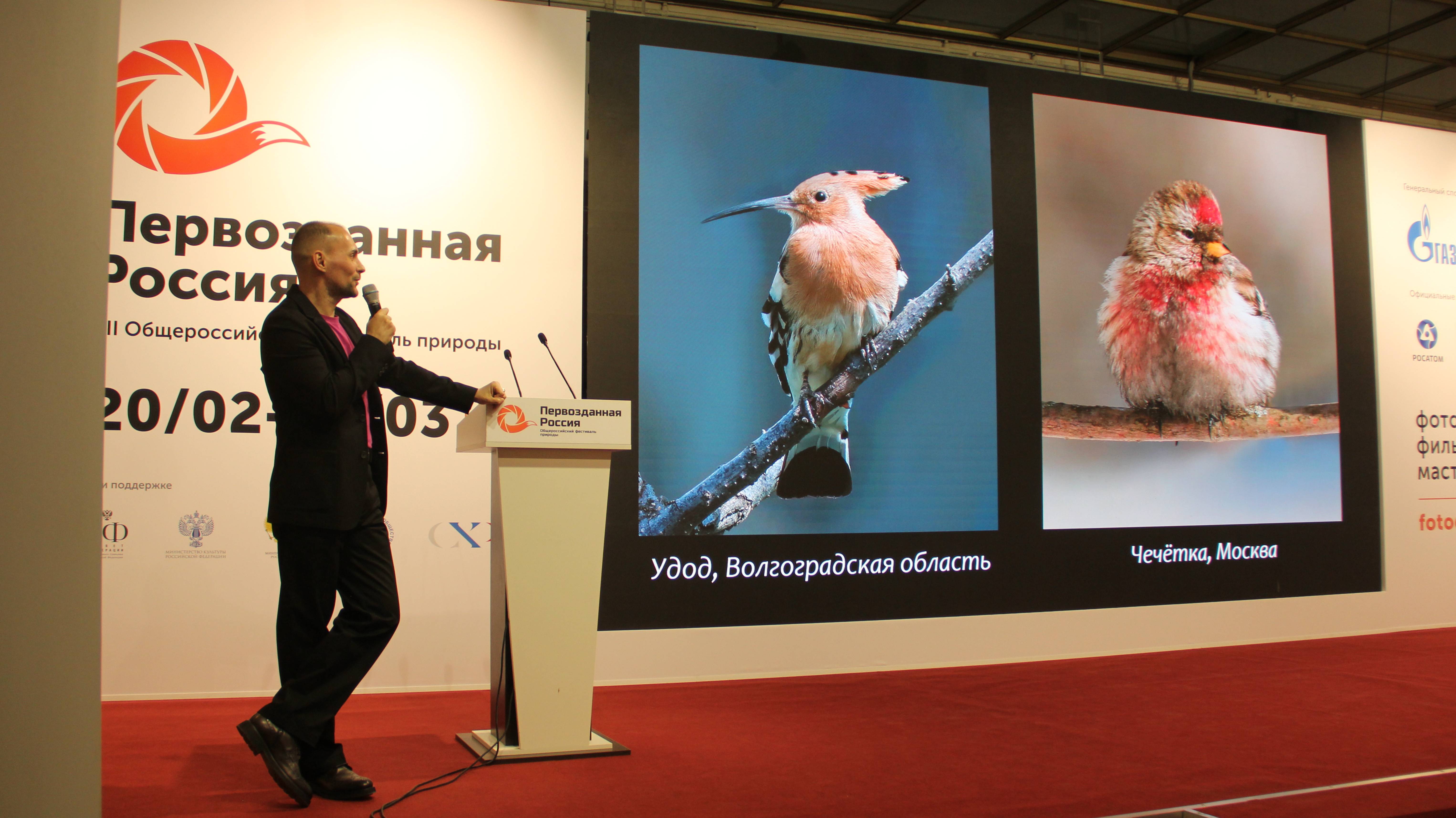 22.03.2025,  Михаил Ездаков. Волшебные двери в мир фотографии дикой природы, часть-3