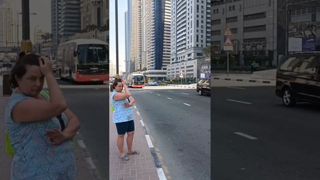 Не русская птичка