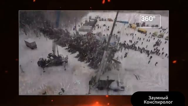 Не спеши приносить в дом ЁЛКУ!