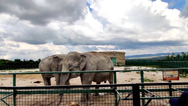 Куда поехать в Крыму с детьми. Куда надо съездить с детьми обязательно Крым 2022